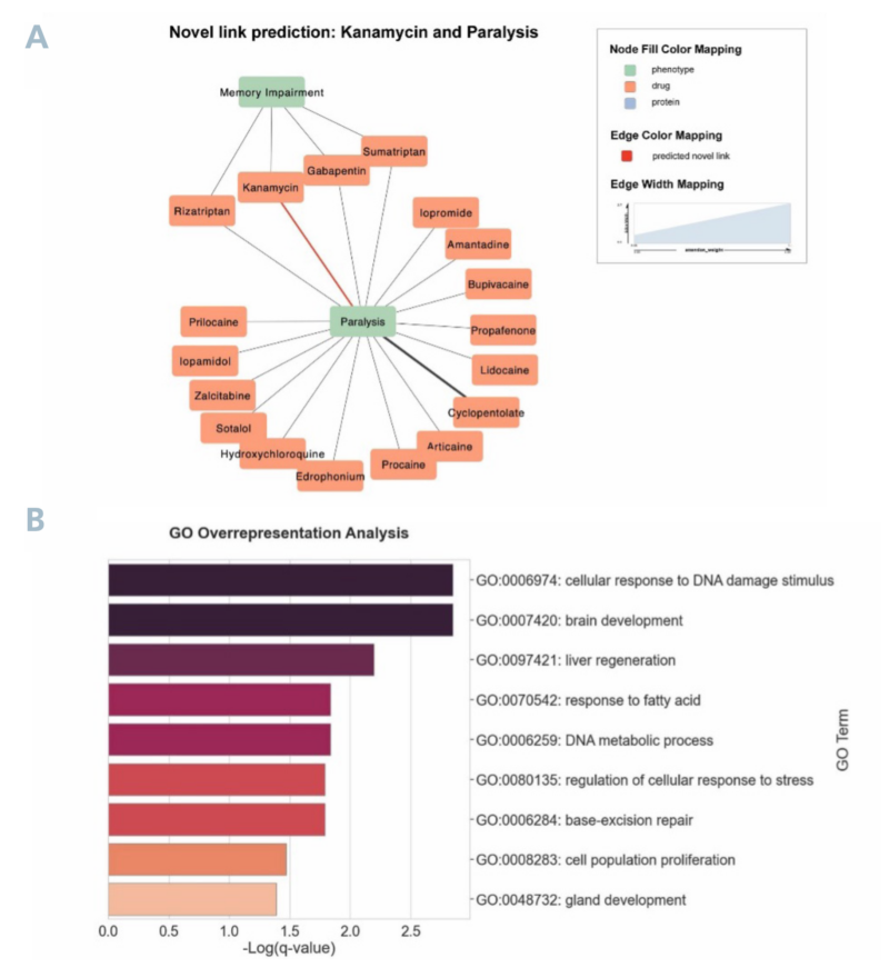 MultiGML | multimodal graph machine learning for drug target ...